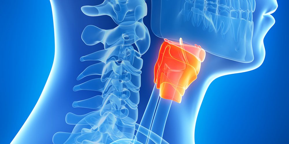 IV Curso sobre SAOS: DISE Y FARINGOPLASTIA-IV Workshop on OSAS, DISE ...