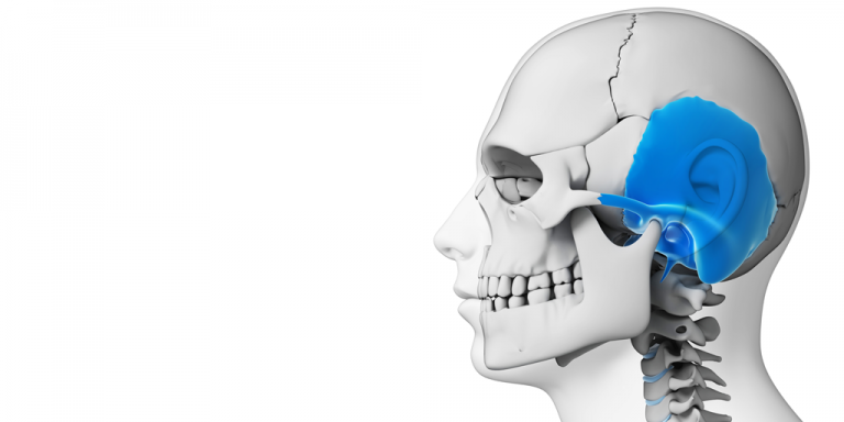 86 TEMPORAL BONE DISSECTION WORKSHOP | SBORL | Sociedad Balear de ...